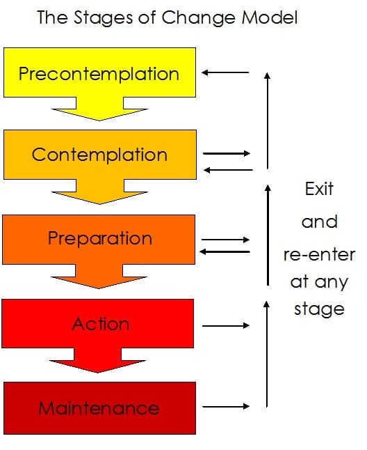 Stages Of Change Model Your Choice Nutrition